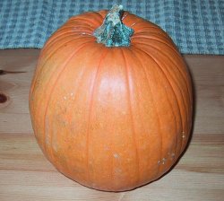 My Days in Texas | October 2000